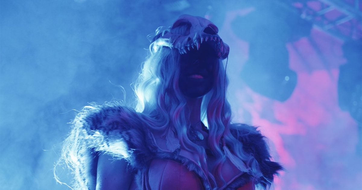 Case Viking - Westers